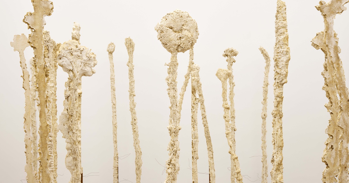 Jodie Carey in the Financial Times | Edel Assanti